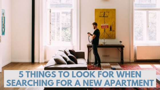 5 Crucial Things to Look for in Your Apartment Search - INSCMagazine