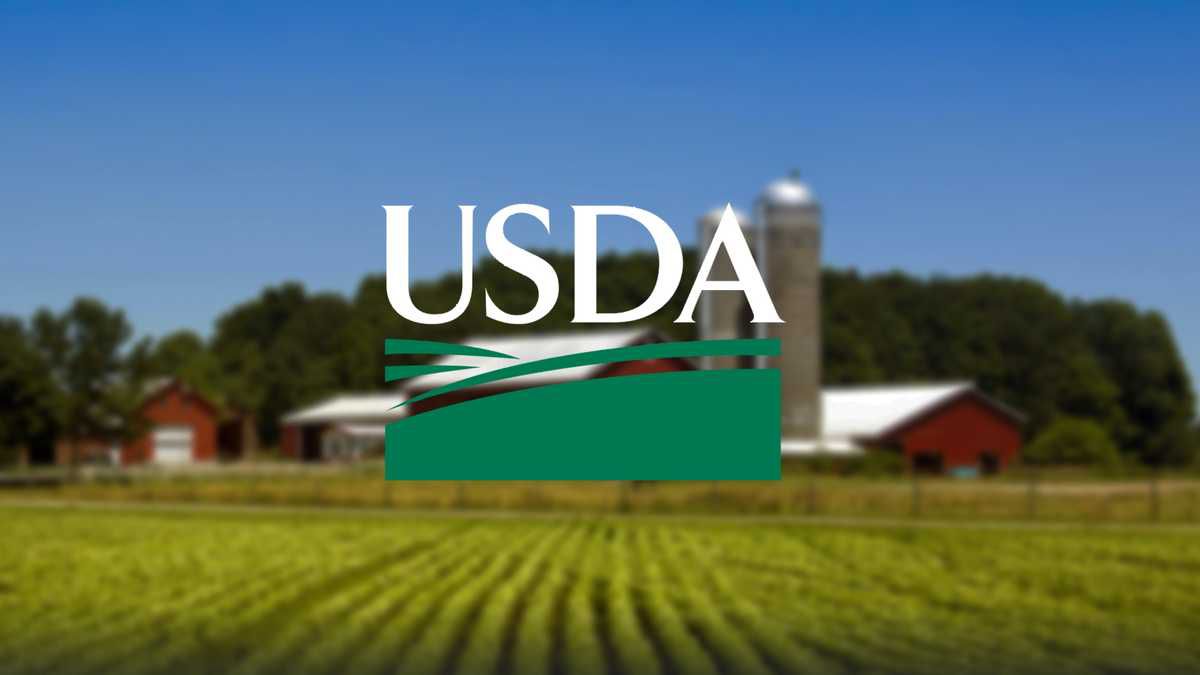 New USDA Guidelines What You Need To Know INSCMagazine New USDA Guidelines What You Need To Know INSCMagazine