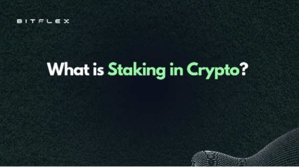 What is Staking in Crypto? - INSCMagazine