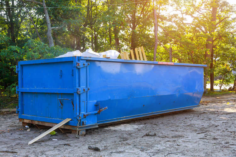 Dumpster Rental in Detroit: A Comprehensive Guide to Streamlining Your ...