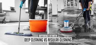 Standard Cleaning vs. Deep Cleaning: Understanding the Differences for ...