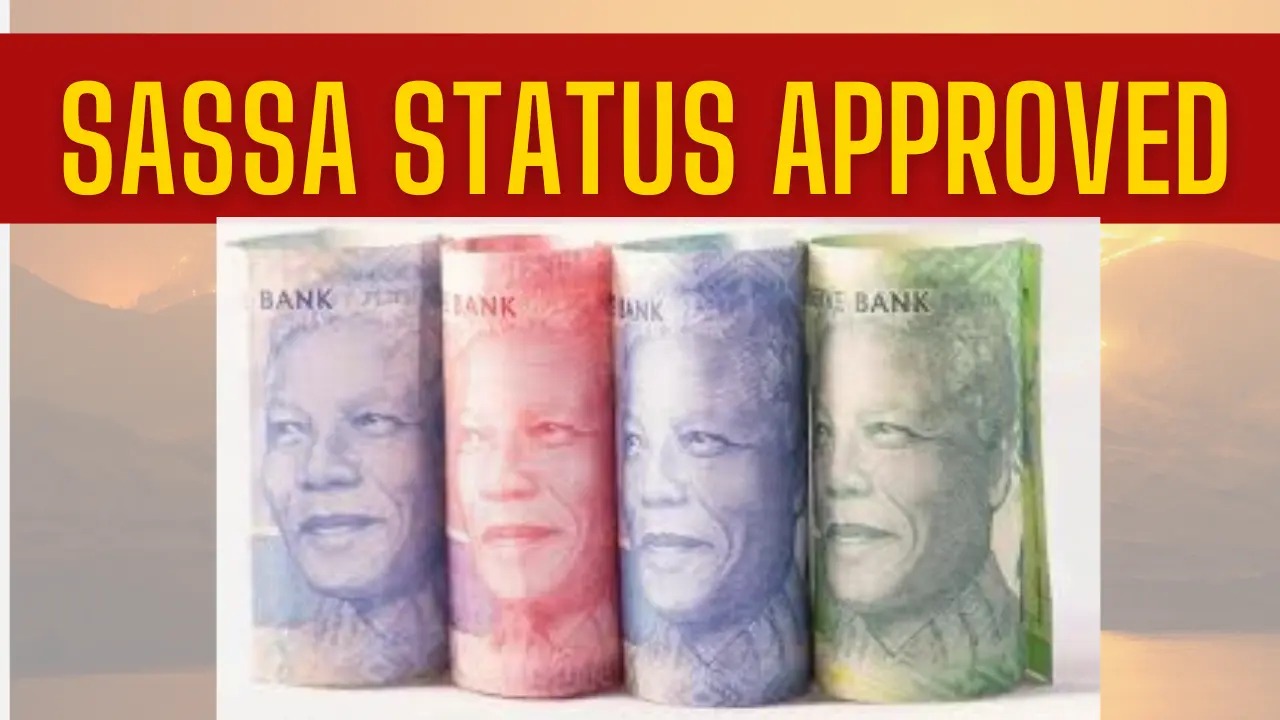 How to Perform a SASSA Status Check: A Complete Guide for South ...