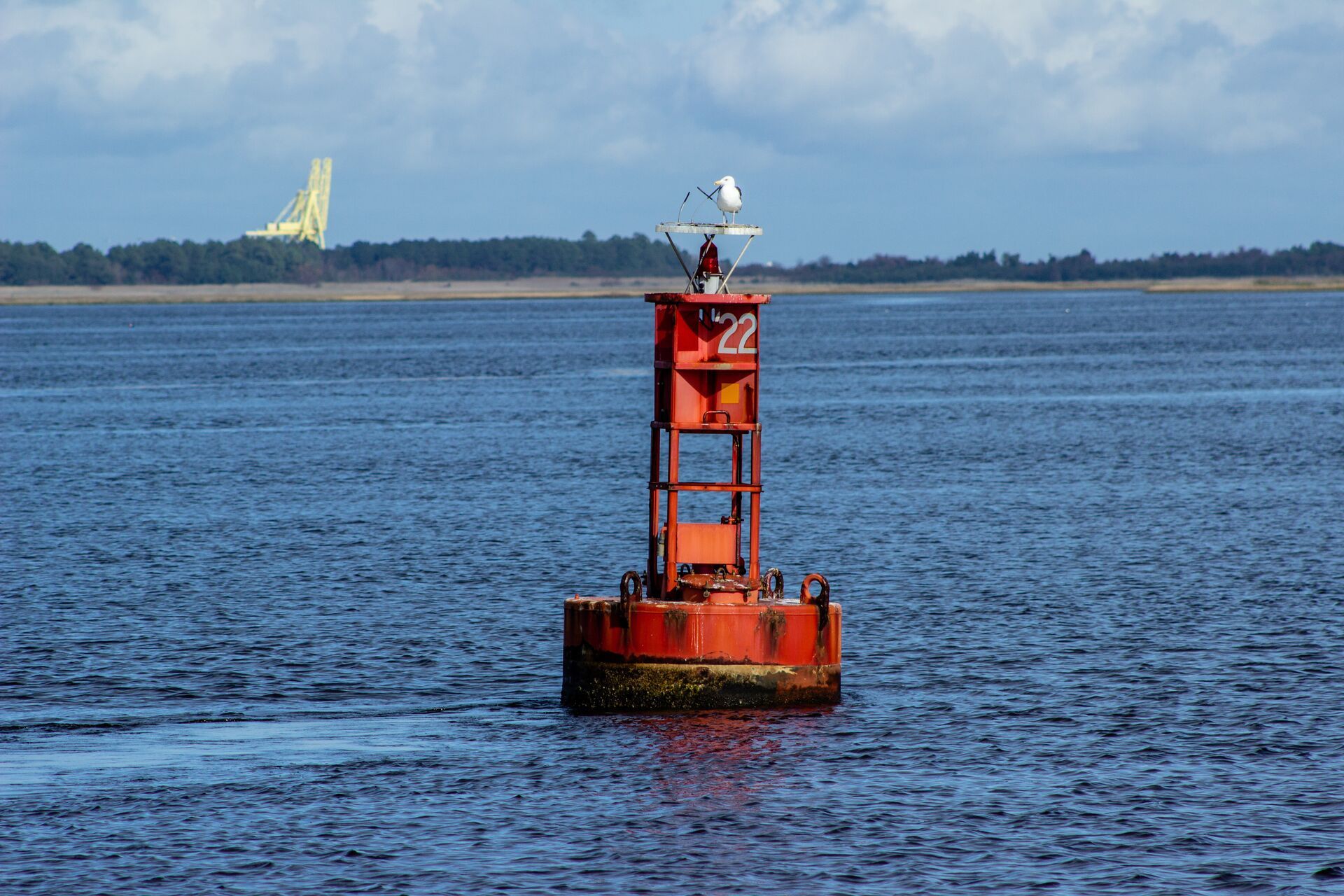 Best Ways to Use Buoy in Your Daily Routine - INSCMagazine